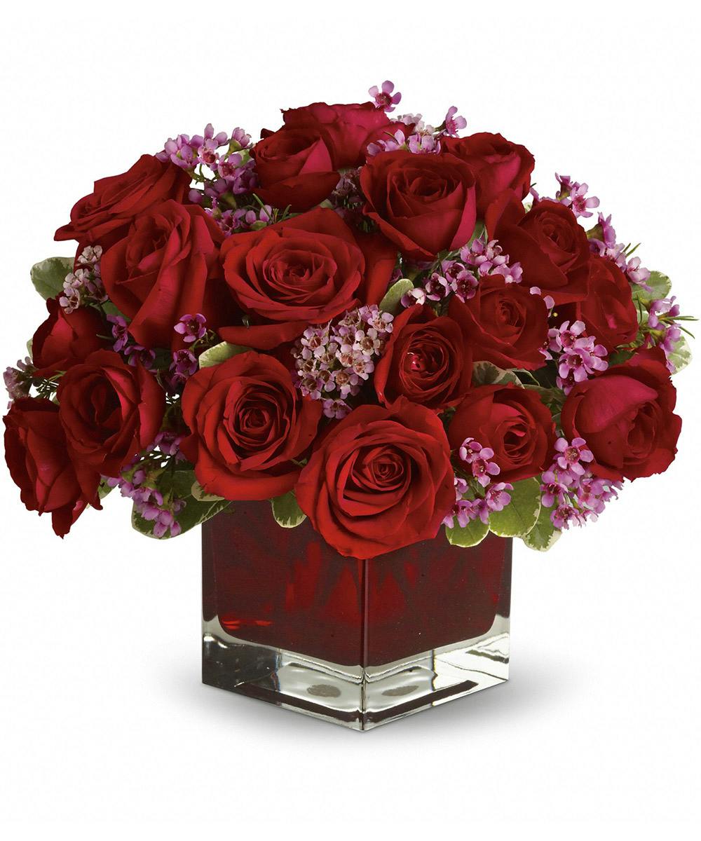 Never Let Go - 18 Red Roses